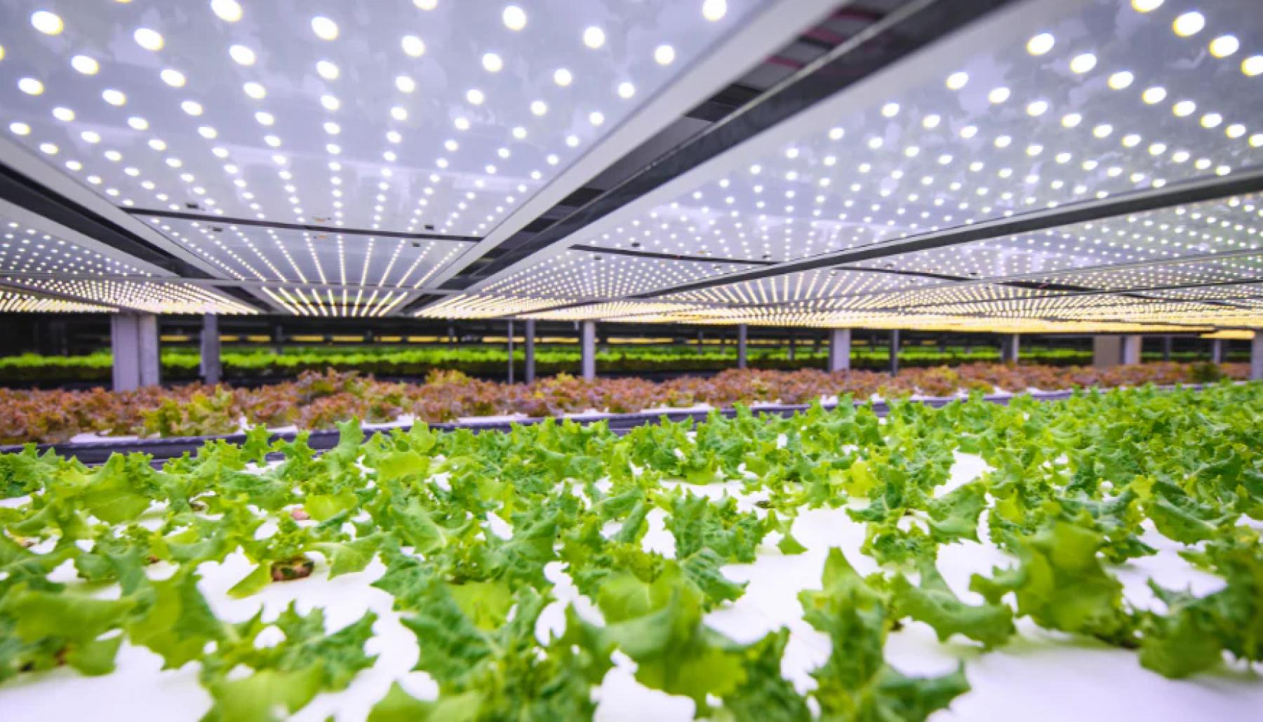Alewijnse automates sustainable energy platform for horticulture ...
